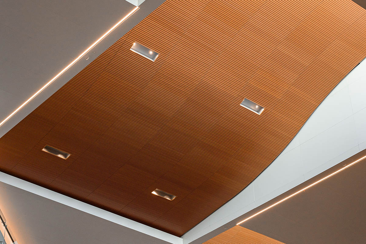 Ecowood WPC | Material | Grupo Basica®